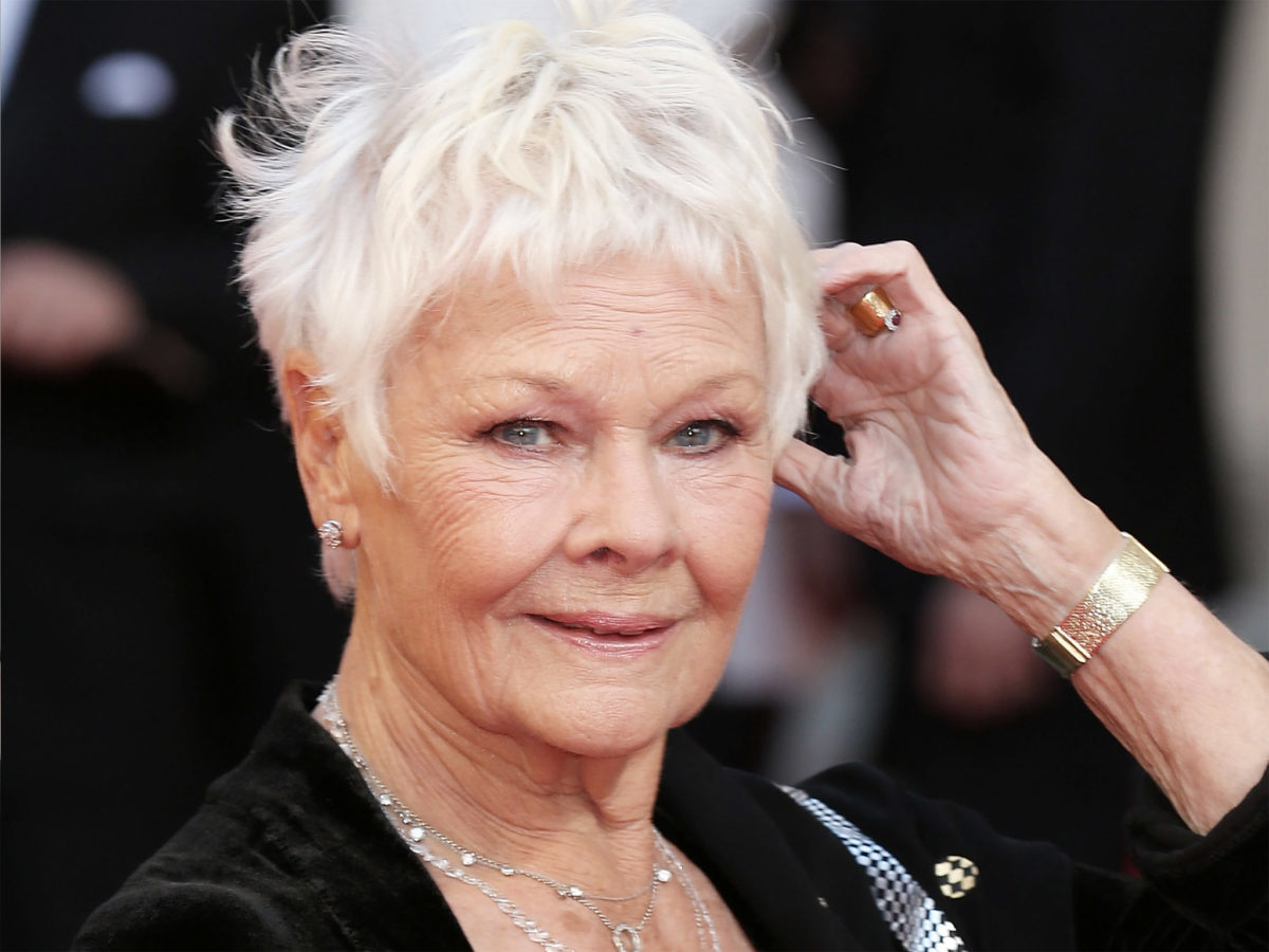15 Doubts About Judi Dench Hairstyle You Should Clarify | judi dench ...