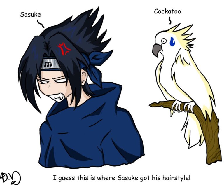 Seven Features Of Sasuke Hairstyle That Make Everyone Love It | sasuke ...